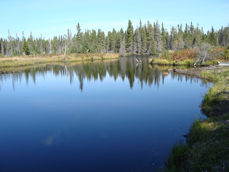 Nature au Québec : la plage de la Pointe-Taillon - Gwendreams